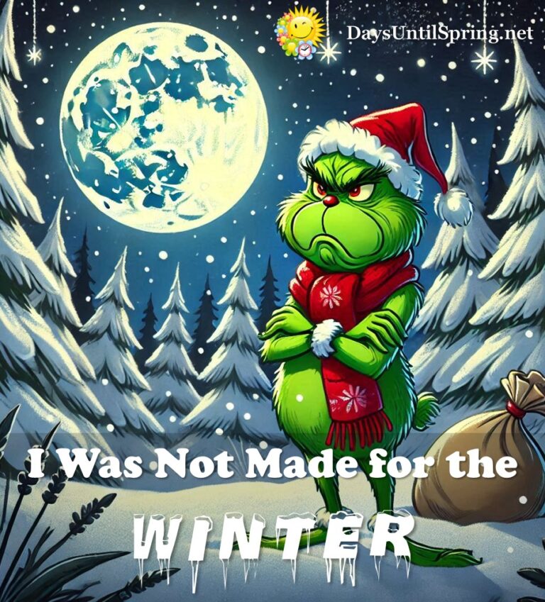 I Hate Winter Memes: The Funniest Memes to Survive the Cold